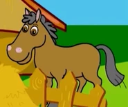 American Quarter Horse | NatureRules1 Wiki | Fandom