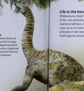 Plateosaurus | NatureRules1 Wiki | Fandom