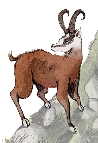 Dahu | NatureRules1 Wiki | Fandom