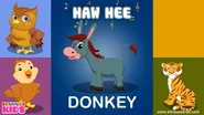 Provence Donkey | NatureRules1 Wiki | Fandom