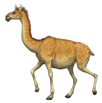 Aepycamelus | NatureRules1 Wiki | Fandom