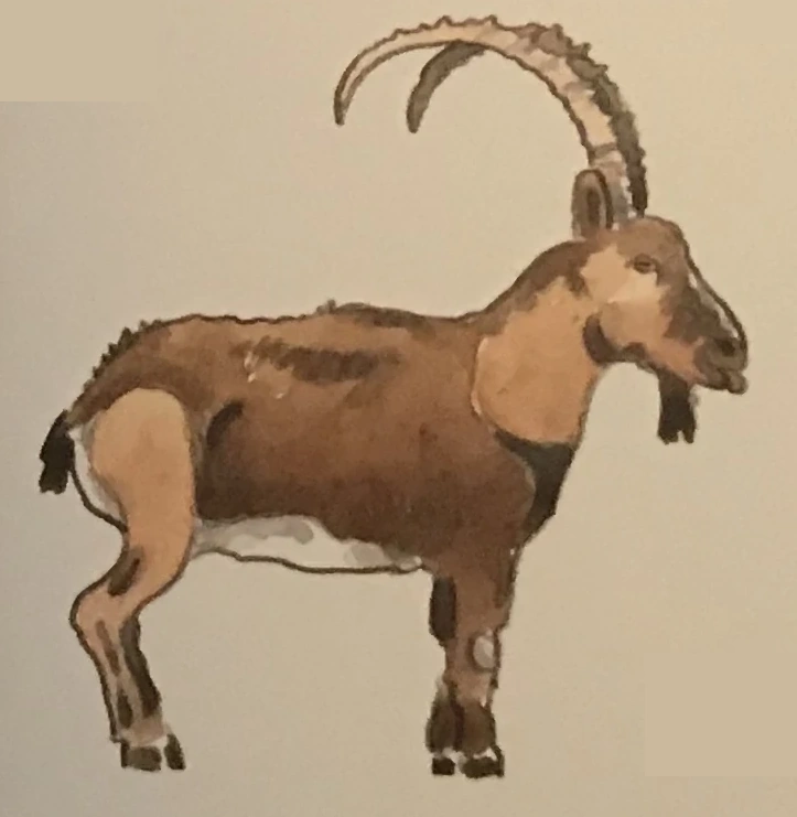 Super/Natural | NatureRules1 Wiki | Fandom