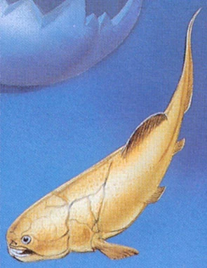 Coccosteus | NatureRules1 Wiki | Fandom