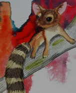 Ringtail | NatureRules1 Wiki | Fandom