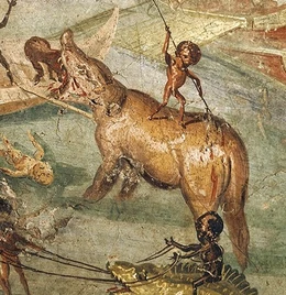 Xiphis | NatureRules1 Wiki | Fandom