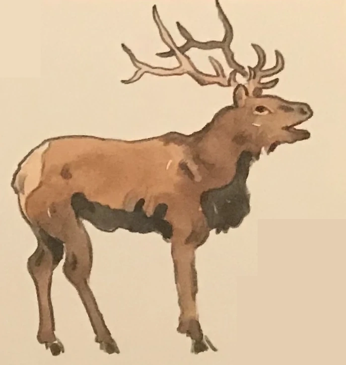 Elk/Books | NatureRules1 Wiki | Fandom