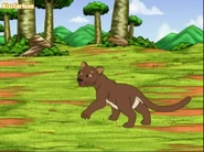 Fossa | NatureRules1 Wiki | Fandom