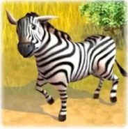Mountain Zebra | NatureRules1 Wiki | Fandom