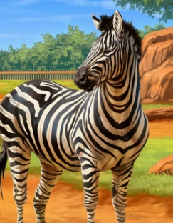 Plains Zebra | NatureRules1 Wiki | Fandom
