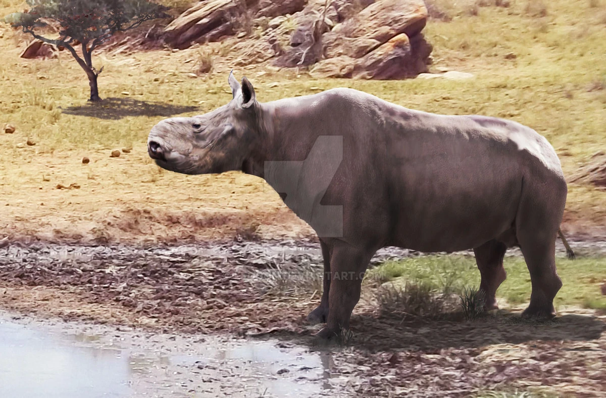 Aceratherium | NatureRules1 Wiki | Fandom