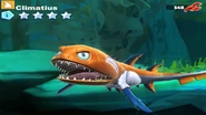 Climatius | NatureRules1 Wiki | Fandom