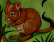 Woylie | NatureRules1 Wiki | Fandom