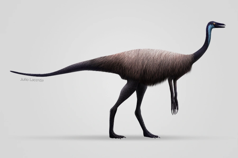 Struthiomimus | NatureRules1 Wiki | Fandom