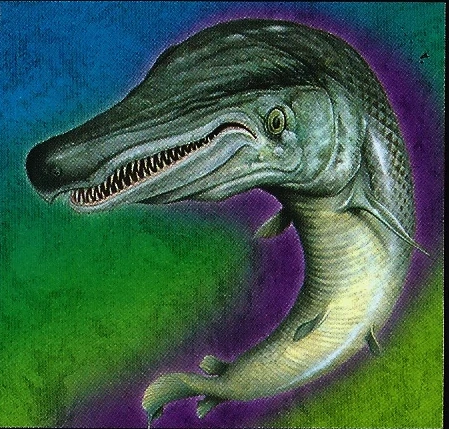 Predator Splashdown Animals Alphabet | NatureRules1 Wiki | Fandom