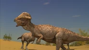 Prenocephale | NatureRules1 Wiki | Fandom