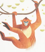 Golden Snub-nosed Monkey | NatureRules1 Wiki | Fandom