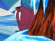 Walrus | NatureRules1 Wiki | Fandom