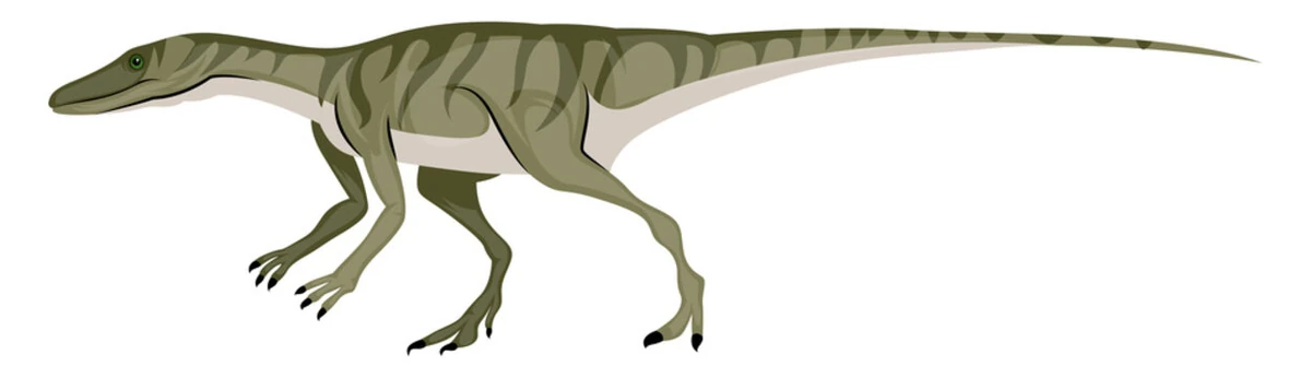 Alwalkeria | NatureRules1 Wiki | Fandom