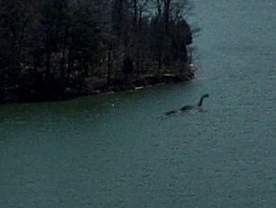 Raystown Ray | NatureRules1 Wiki | Fandom