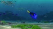 List of Species in Finding Nemo | NatureRules1 Wiki | Fandom