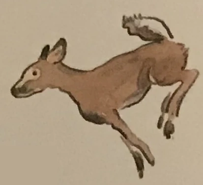 White-tailed Deer/Books | NatureRules1 Wiki | Fandom