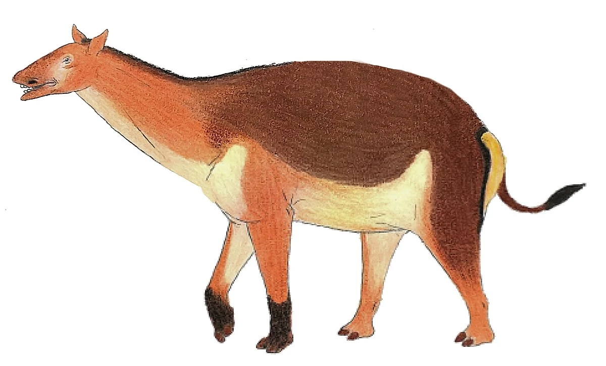 Macrauchenia | NatureRules1 Wiki | Fandom