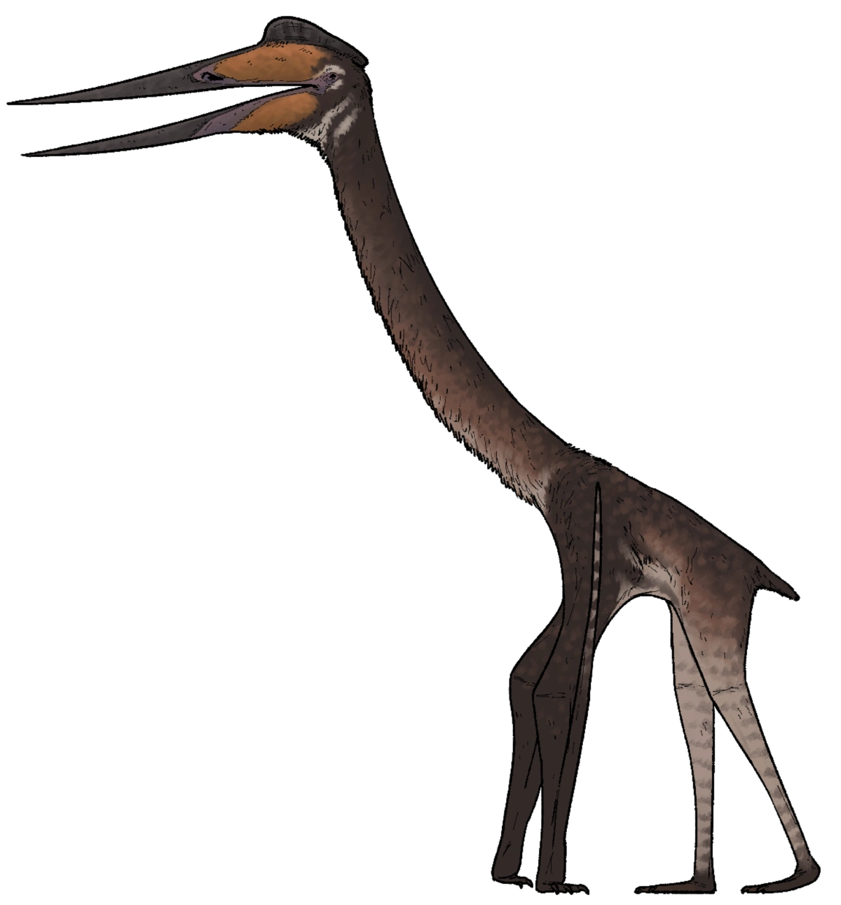 Infernodrakon Naturerules1 Wiki Fandom