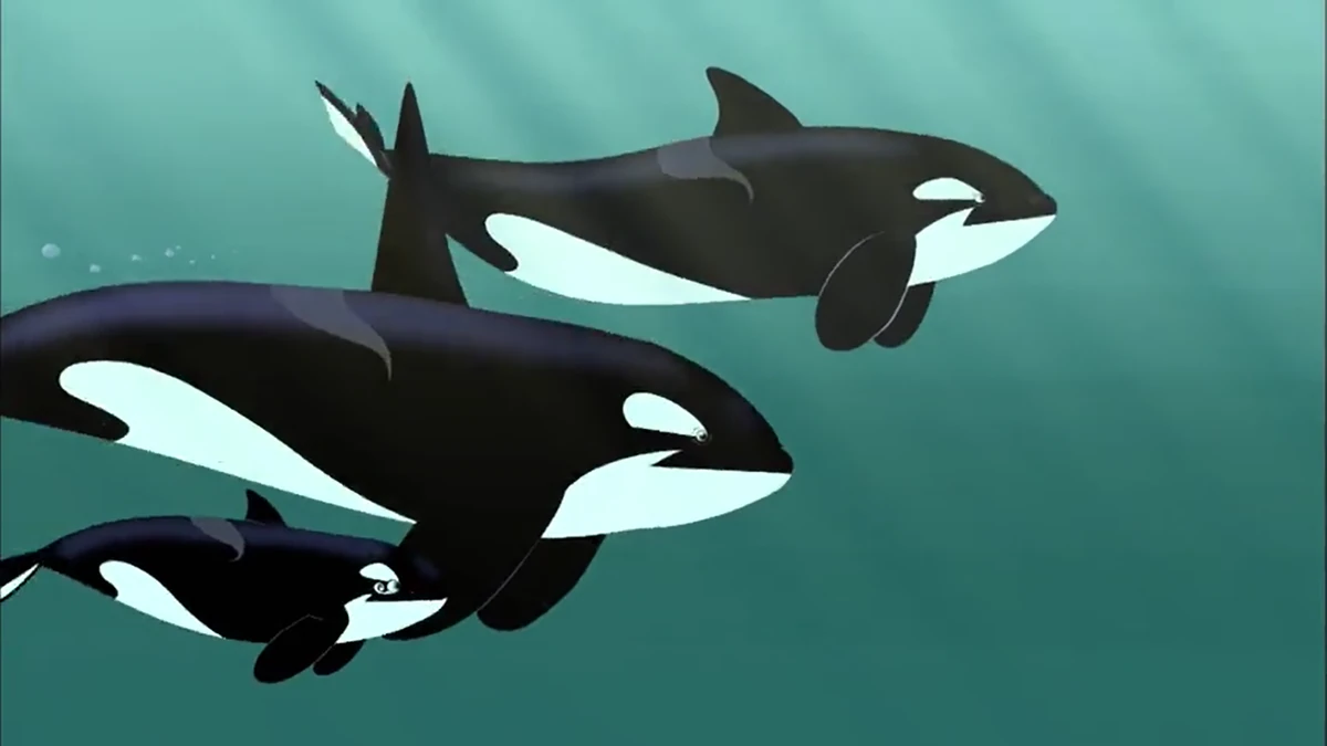 Scary Creatures Killer Whales | NatureRules1 Wiki | Fandom