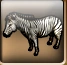 Plains Zebra | NatureRules1 Wiki | Fandom