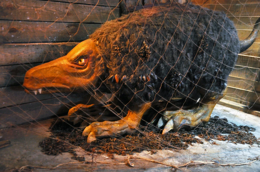 Shore Laddie | NatureRules1 Wiki | Fandom