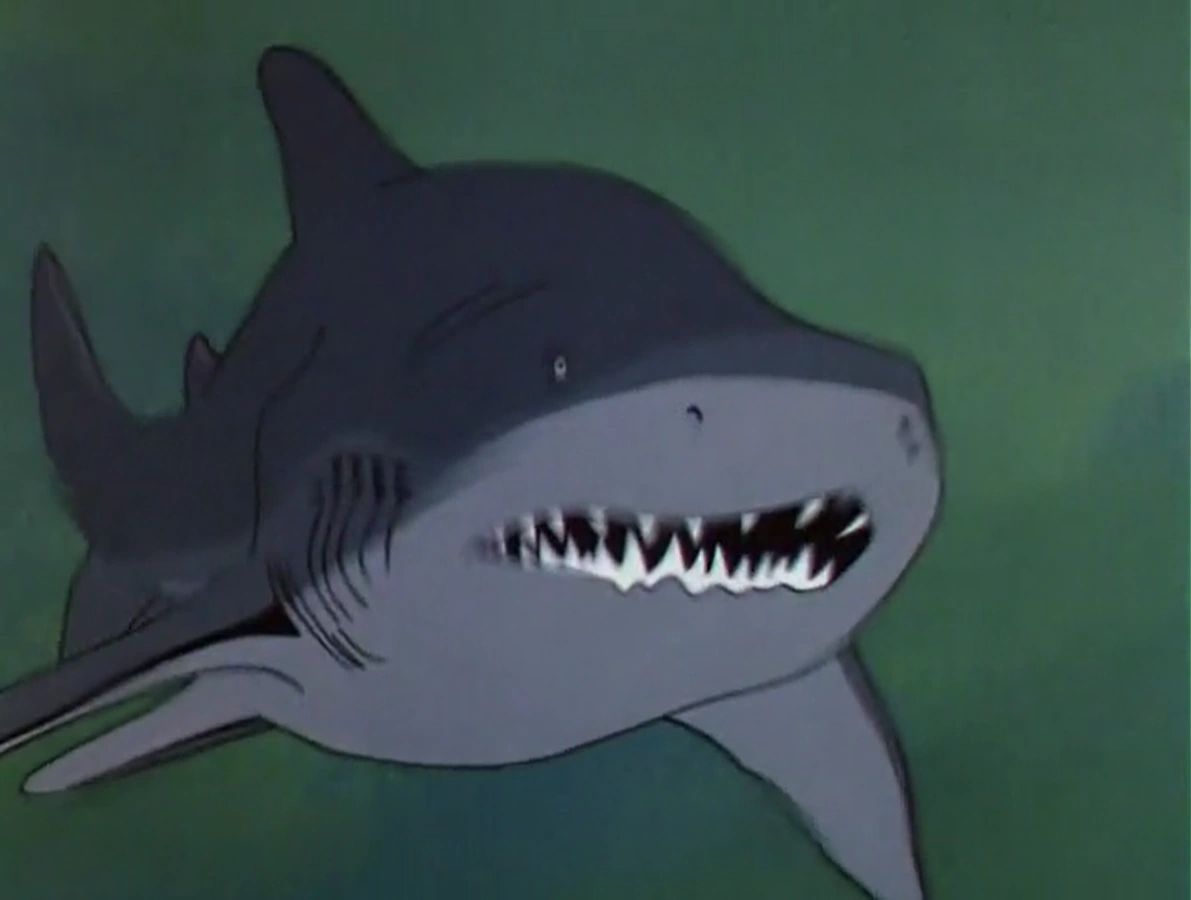 Shark Encounter | NatureRules1 Wiki | Fandom