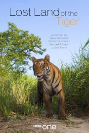 Lost Land of the Tiger | NatureRules1 Wiki | Fandom