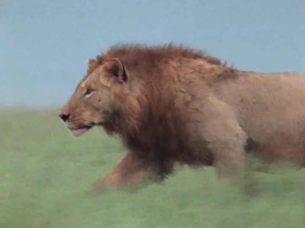 List of The Trials of Life Species | NatureRules1 Wiki | Fandom