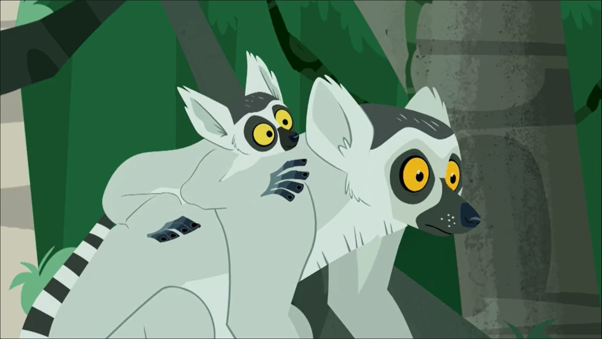 Ring-tailed Lemur/TV Shows | NatureRules1 Wiki | Fandom