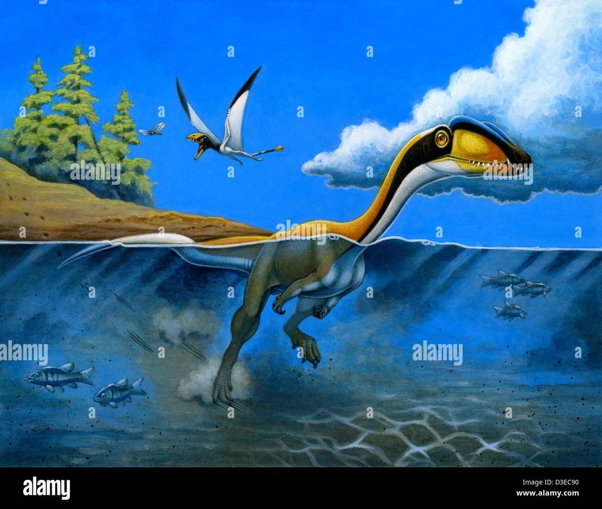 Megapnosaurus | NatureRules1 Wiki | Fandom