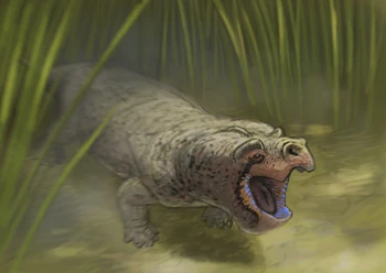 Rhachiocephalus | NatureRules1 Wiki | Fandom