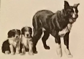 Pet Dictionary | NatureRules1 Wiki | Fandom