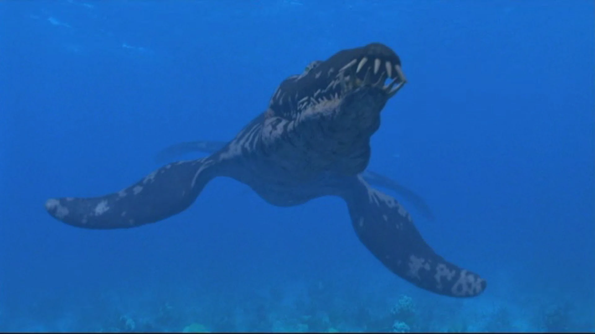 Liopleurodon | NatureRules1 Wiki | Fandom