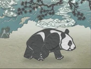 Giant Panda | NatureRules1 Wiki | Fandom