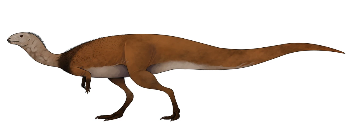 Dryosaurus | NatureRules1 Wiki | Fandom