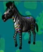 Plains Zebra | NatureRules1 Wiki | Fandom