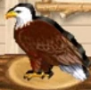Bald Eagle | NatureRules1 Wiki | Fandom