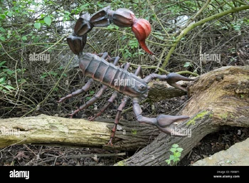Pulmonoscorpius | NatureRules1 Wiki | Fandom