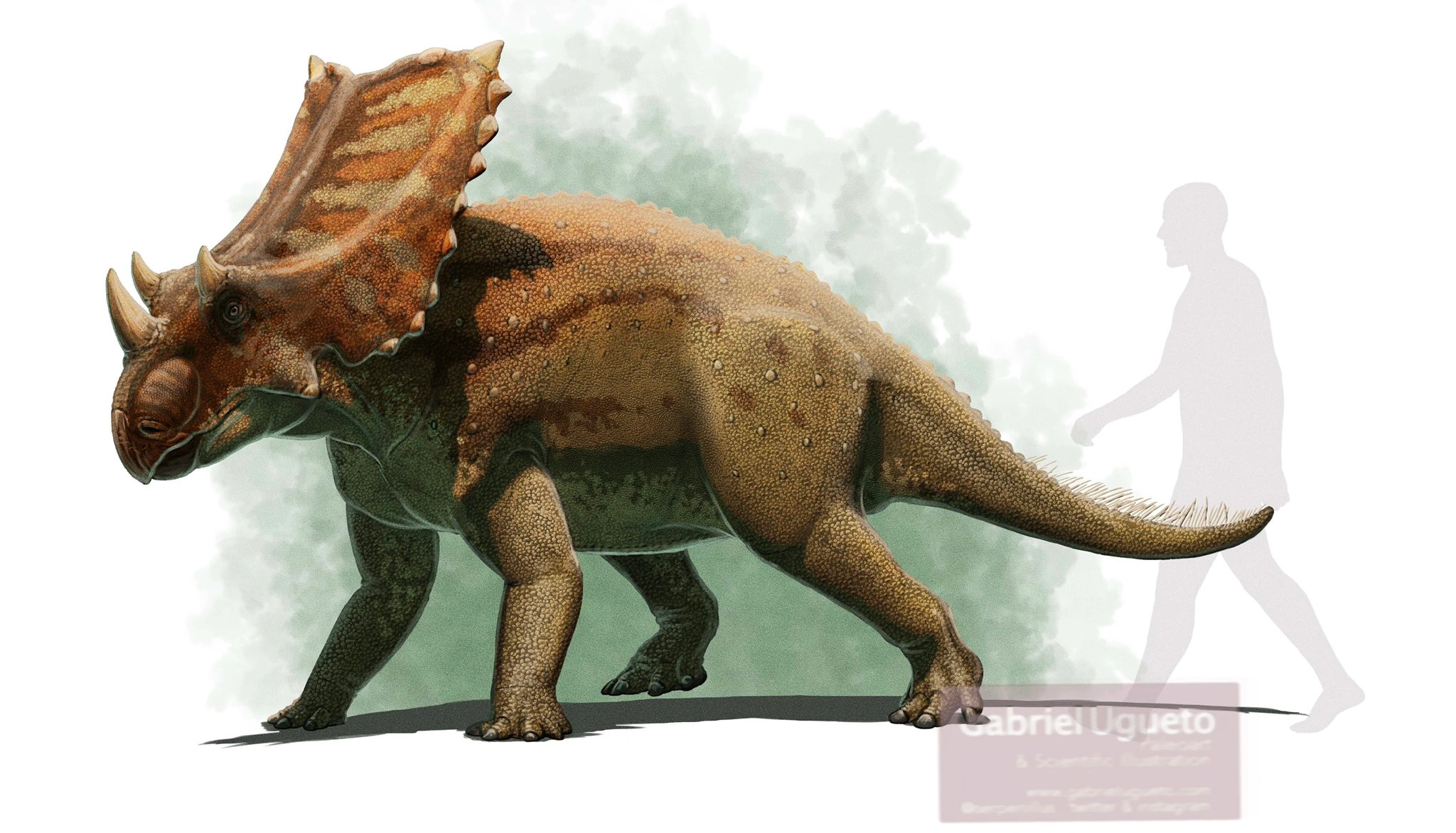 Planet Dinosaur Chasmosaurus
