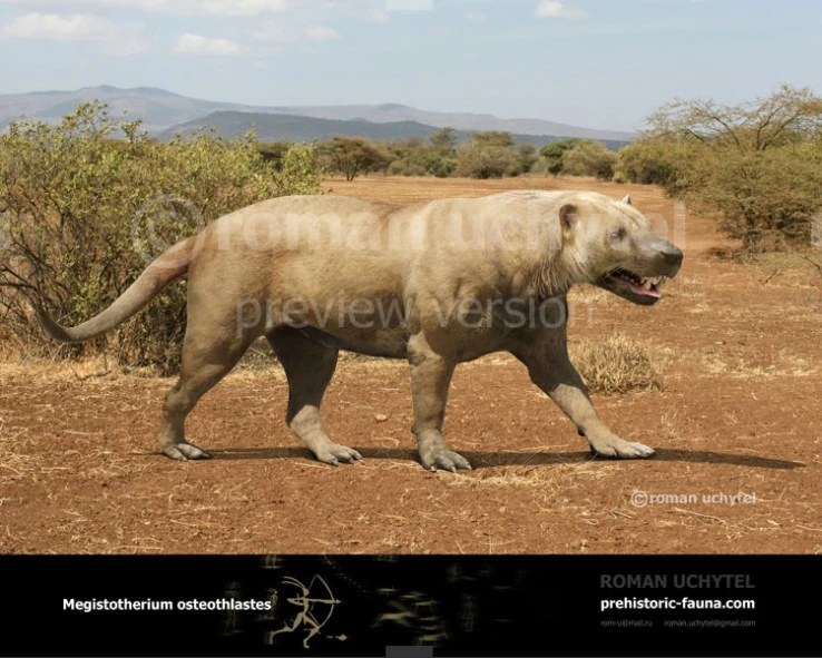 Megistotherium | NatureRules1 Wiki | Fandom
