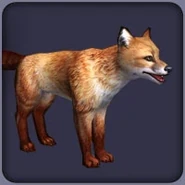 Warrah | NatureRules1 Wiki | Fandom