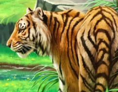 Tiger | NatureRules1 Wiki | Fandom
