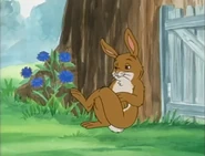 Eastern Cottontail | NatureRules1 Wiki | Fandom