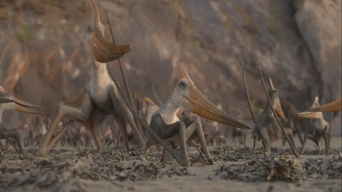 Tethydraco | NatureRules1 Wiki | Fandom