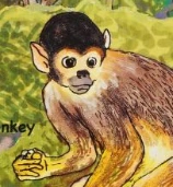Black-capped Squirrel Monkey | NatureRules1 Wiki | Fandom